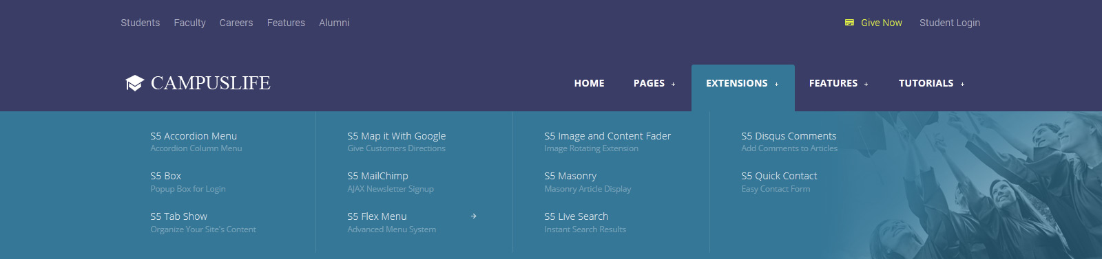 Template Specific Options